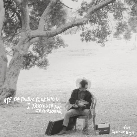 Rhys Langston & Open Mike Eagle - Ate the Tuning Fork While I Taxied in ...